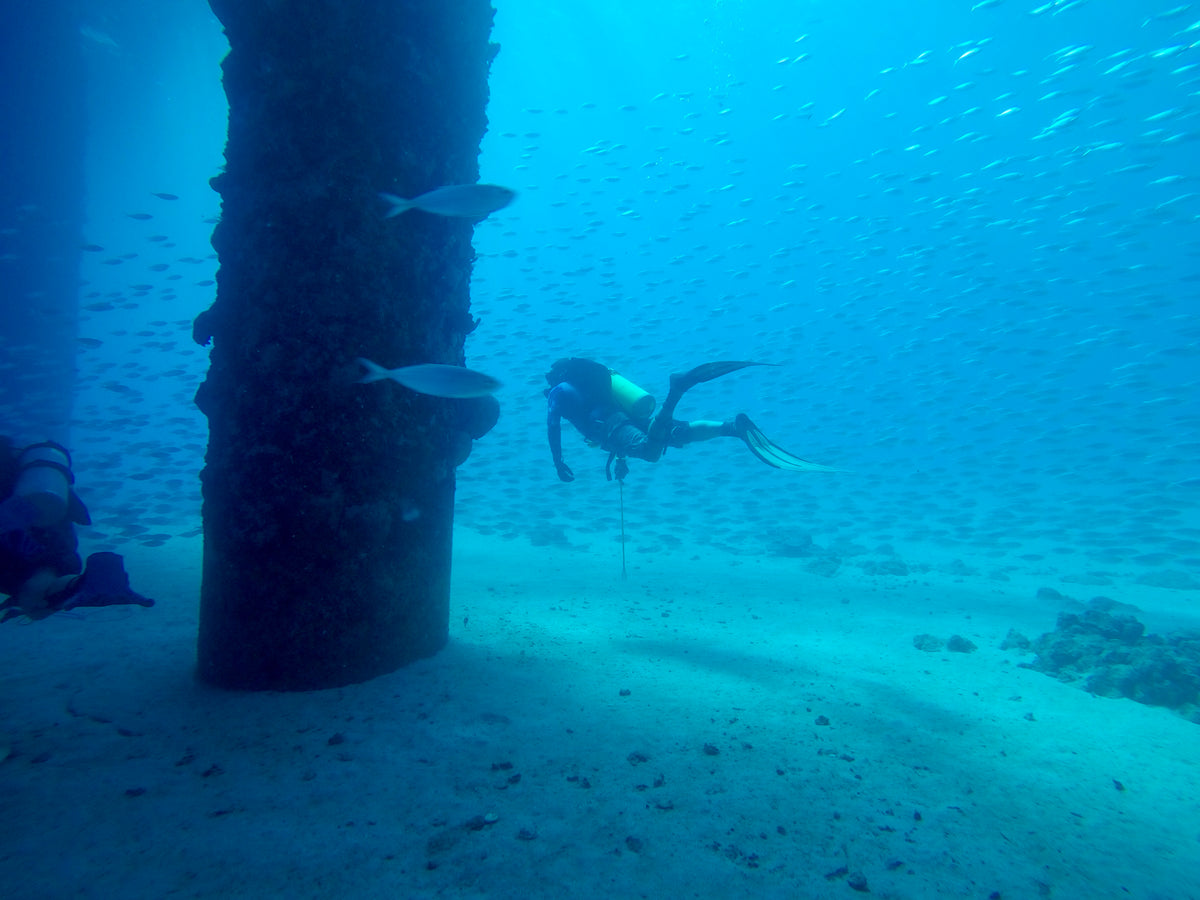 Scuba – Blue Canyon Charters LLC